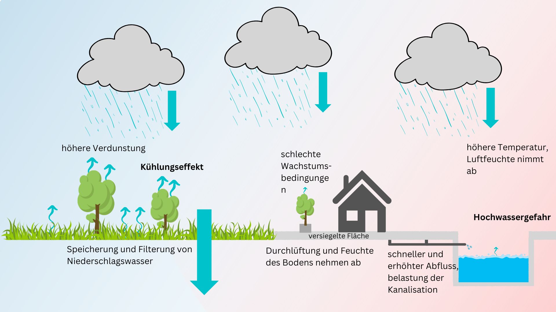 Bodenversiegelung - Wird in Österreich zu viel gebaut? - Data Driven ...